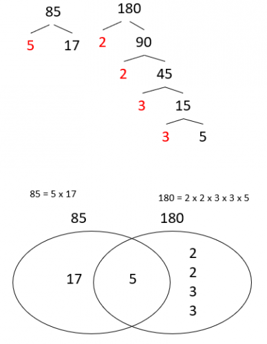 Find HCF and LCM Using a Venn Diagram Worksheet - EdPlace